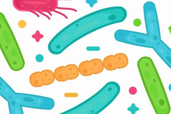 Ampollitas que pican en manos y pies: dishidrosis o ponfólix